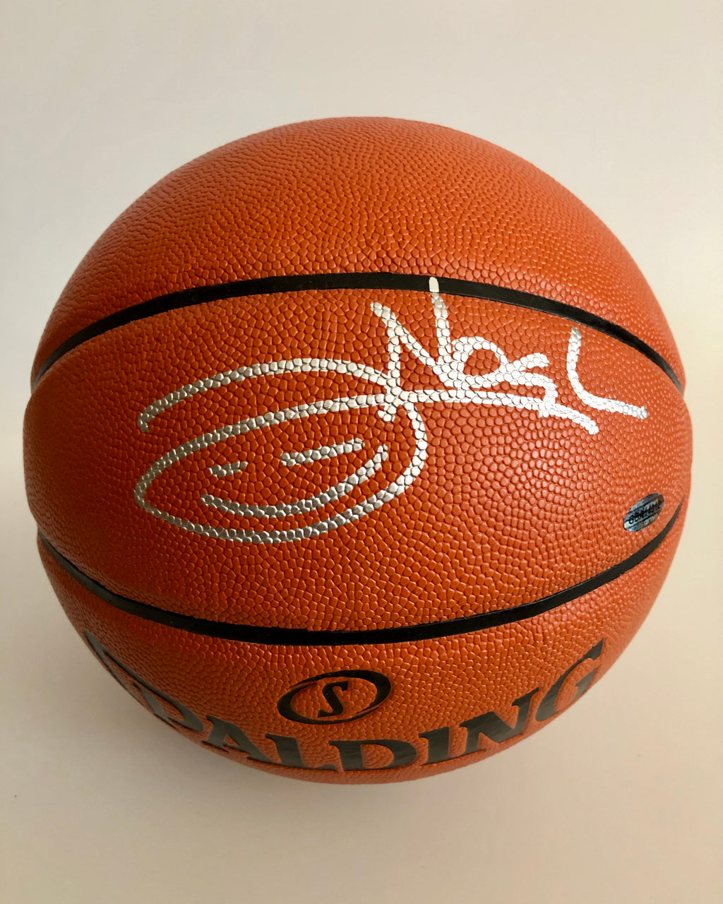 NBA Autographed Basketballs